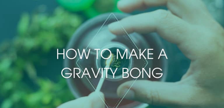 How To Make And Use Gravity Bongs | The Seed Fair