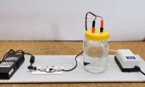 How to feminize seeds with colloidal silver: easy DIY solution