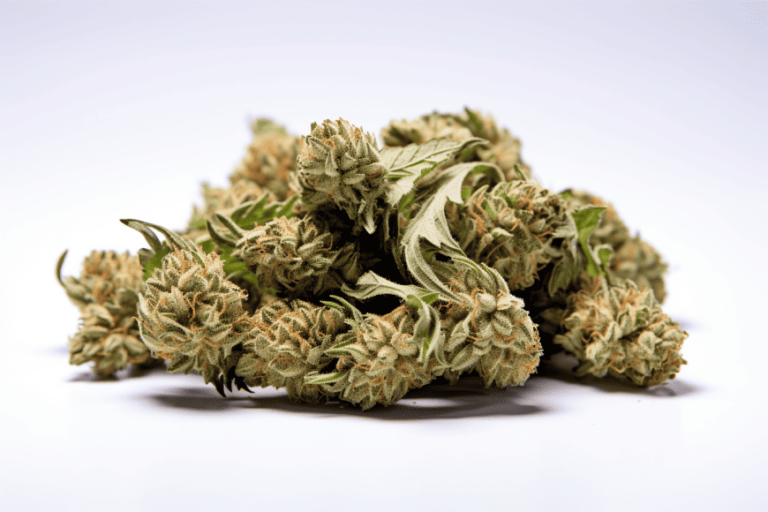 Tropicana Cherry Strain Review | Cannabis Strain Information Tropicana Cherry Strain Review | Cannabis Strain Information